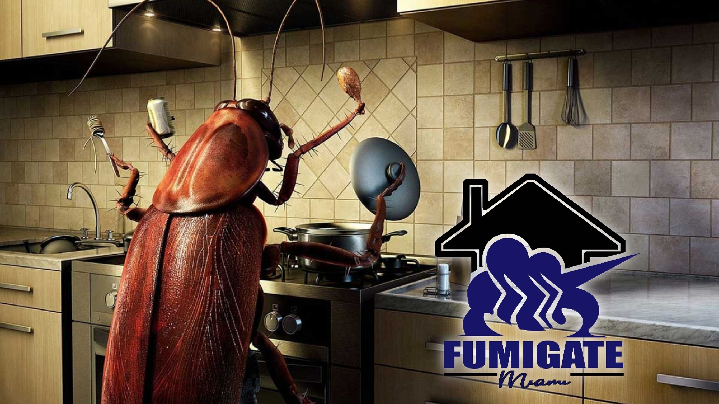 Fumigate Miami™ » Home goods store in Doral FL
