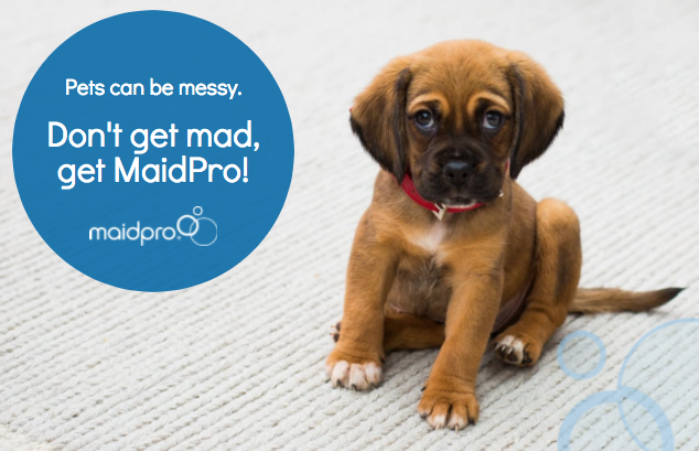 Miami House Cleaning & Maid Service | MaidPro Miami Offices