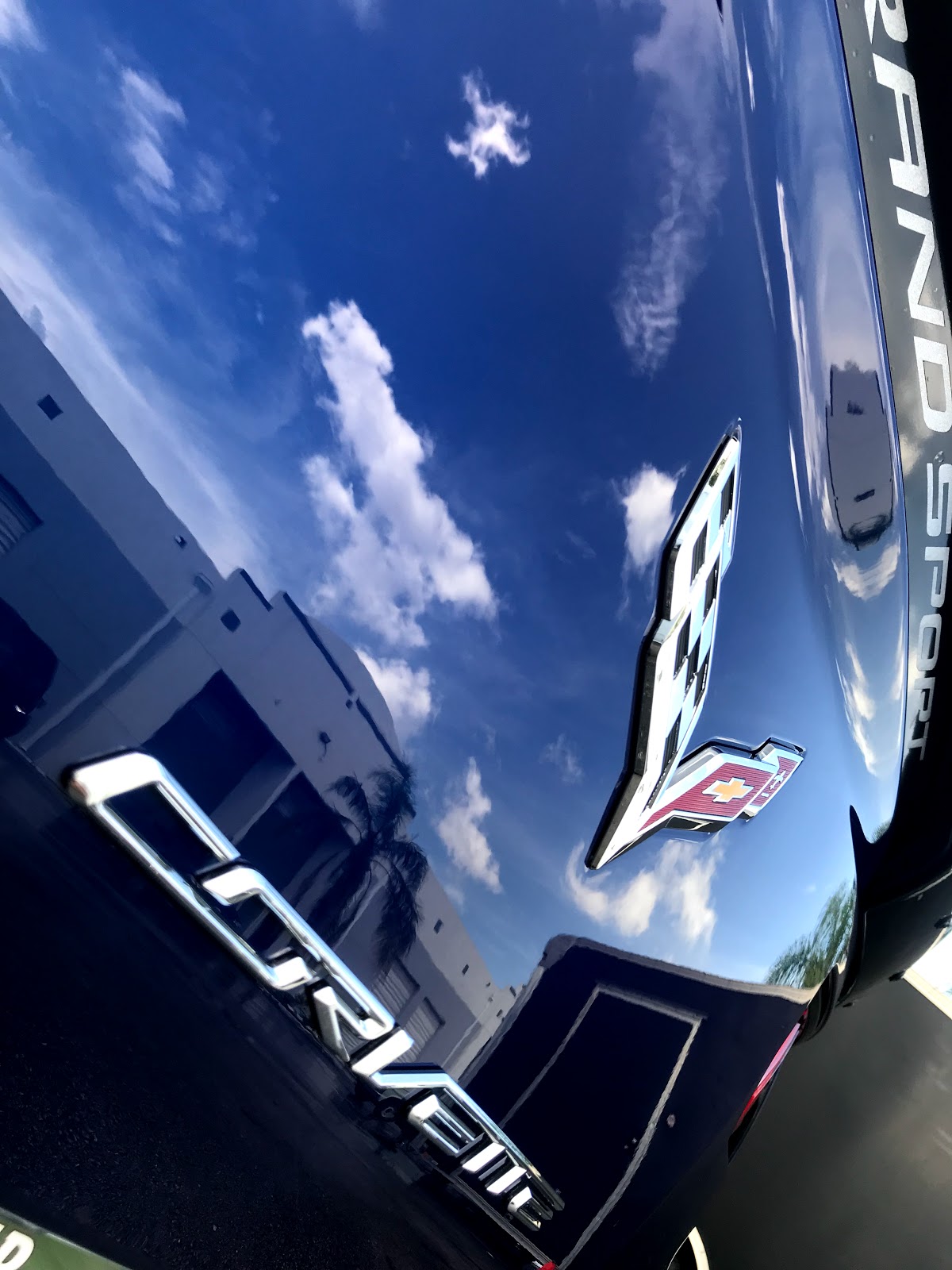 AlphaPro Detailing - Miami's Premier Car Detailing Service